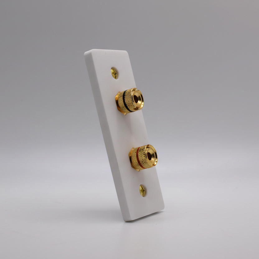 Architrave Speaker Wall Plate - AV Connection Plates