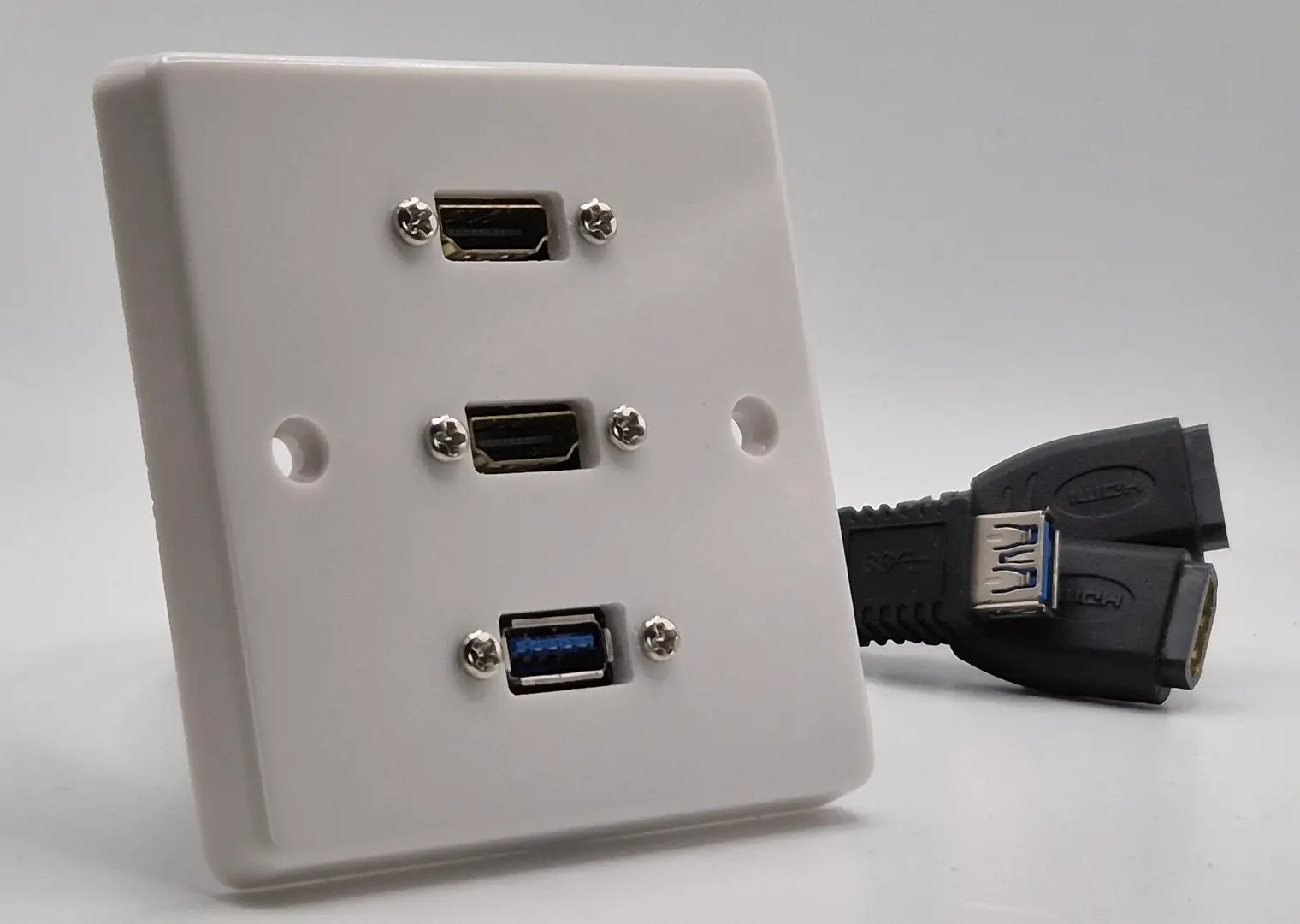 Dual HDMI & USB Wall Plate